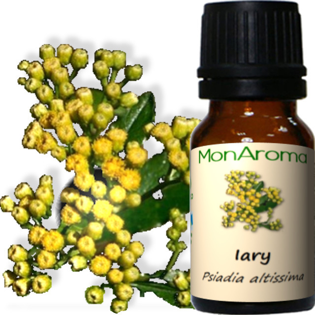 Huile essentielle de Iary